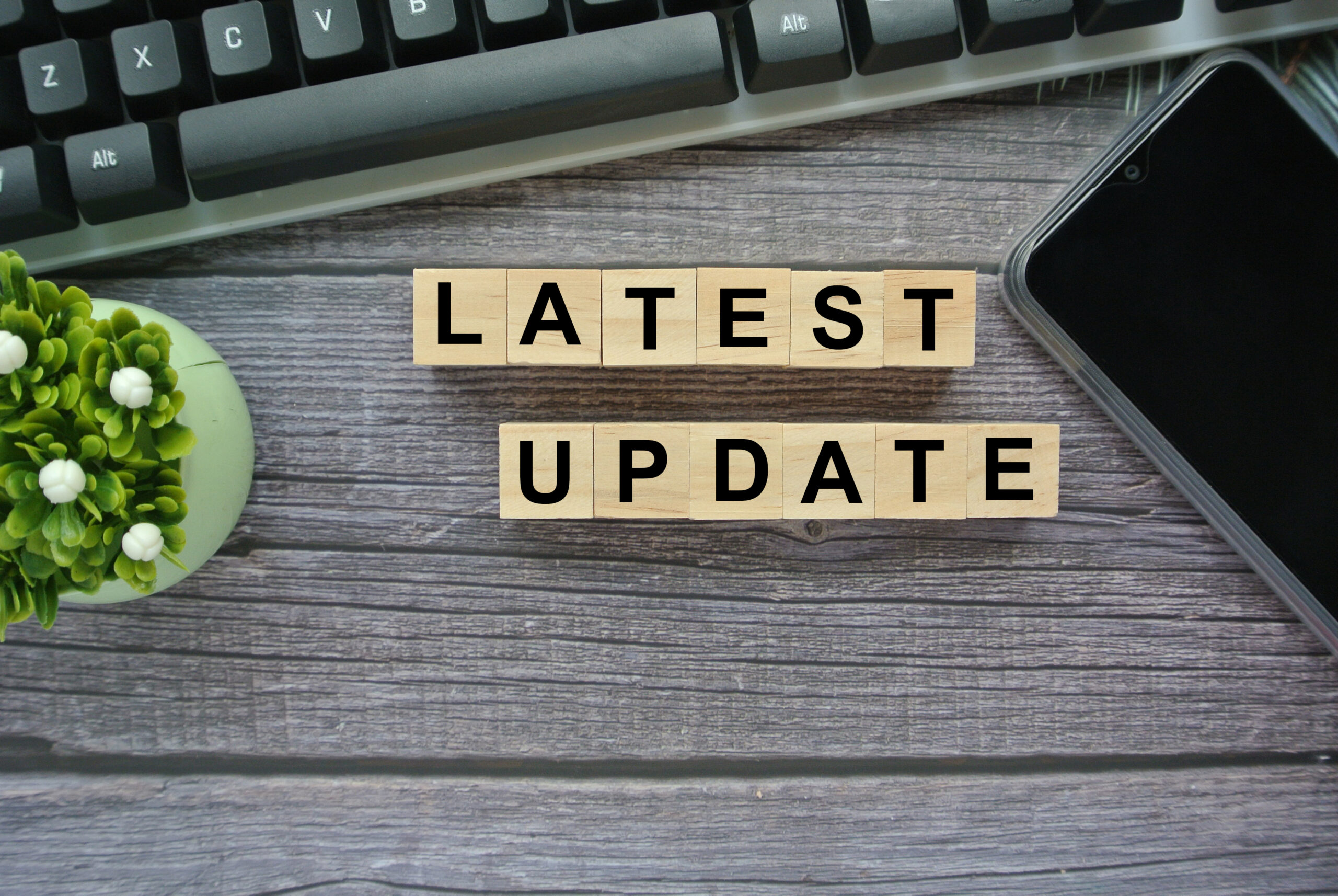 Google Algorithm Updates of 2024 | Dallas SEO Dogs